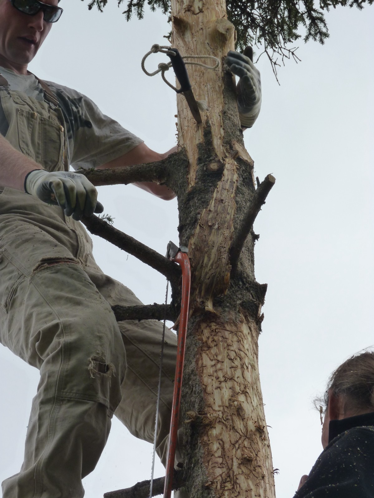 Leah Dorion Gallery 2012